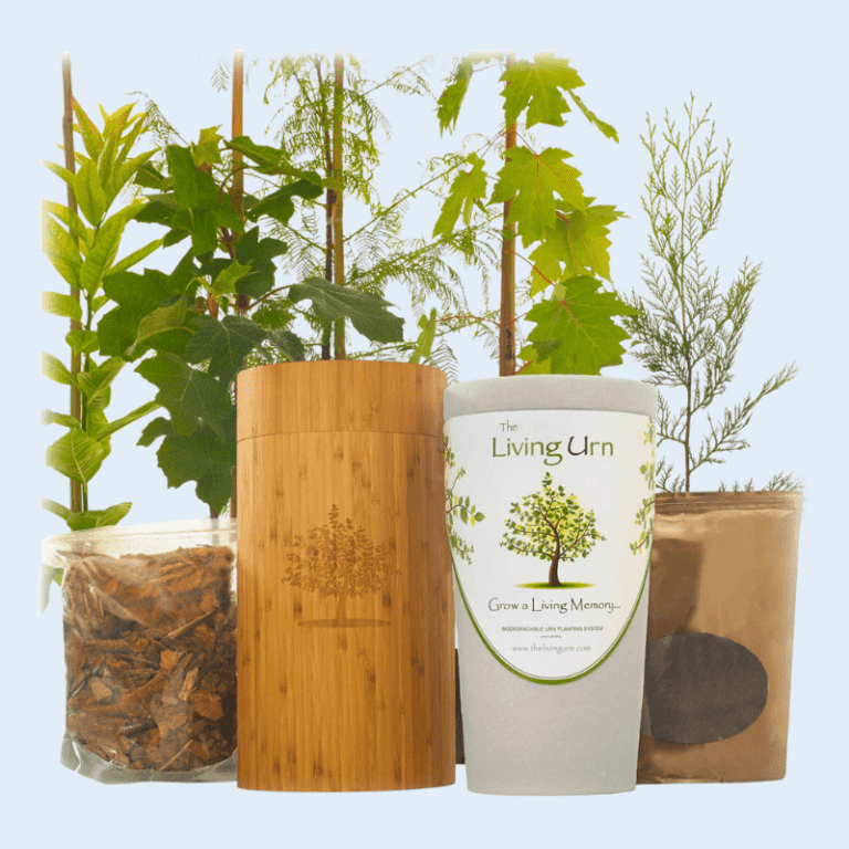 Tree Cremation: Planting a Tree with Human Ashes | CSOP